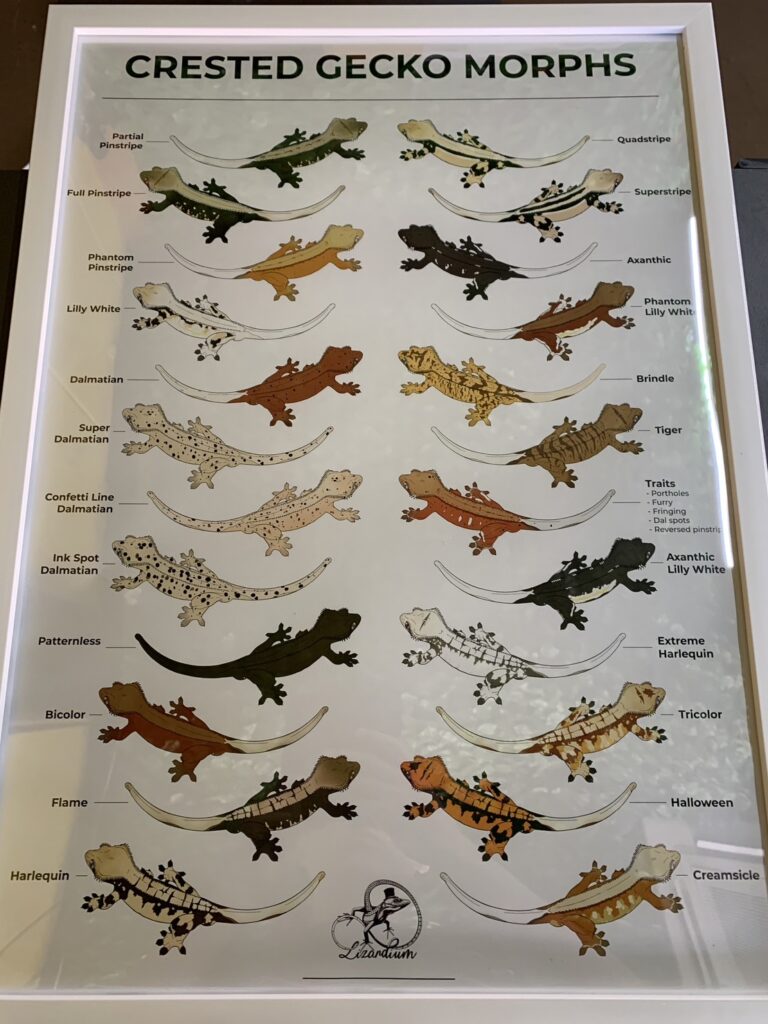 クレスのポスター入荷！！ | SPELTY